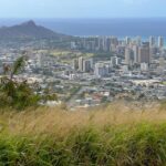 Oahu: Private Tour-Circle Island-Customizable - Why Travelers Love This Tour (Based on Reviews)