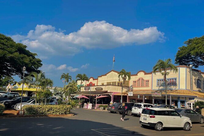 Oahu Private Tour North Shore, Waimea Falls and Dole Plantation - A Closer Look at the Tour