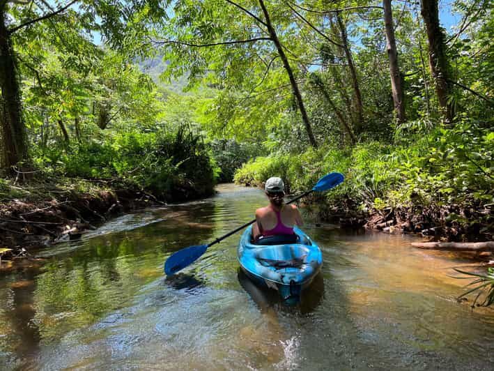 Oahu: Single & Double Kayak 3-Hour River Rental - The Real Experiences: What Past Participants Say