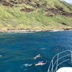 Oahu: Snorkel Adventure in Marine Sanctuary - Who Should Book This Tour?