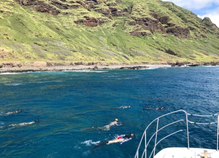 Oahu: Snorkel Adventure in Marine Sanctuary - Who Should Book This Tour?