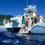Oahu: Snorkeling & Dolphin Watch Cruise w/ Luau Style Buffet - An In-Depth Look at the Experience
