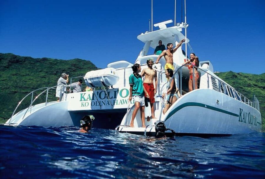 Oahu: Snorkeling & Dolphin Watch Cruise w/ Luau Style Buffet - An In-Depth Look at the Experience