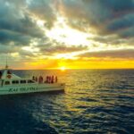 Oahu: Sunset Snorkeling, Dolphin Watch Cruise, Hawaiian meal - What’s Included and What’s Not
