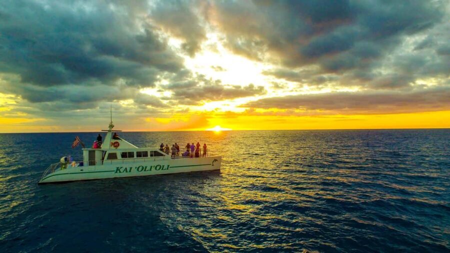 Oahu: Sunset Snorkeling, Dolphin Watch Cruise, Hawaiian meal - What’s Included and What’s Not
