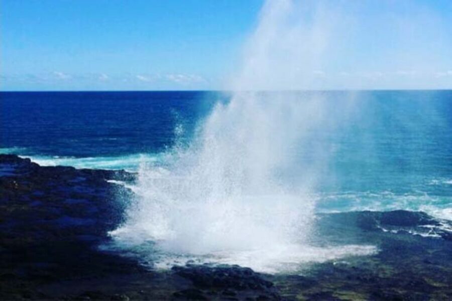 Oahu to Kauai: Napali Coast Helicopter Tour & Waimea Canyon - Authenticity and Value