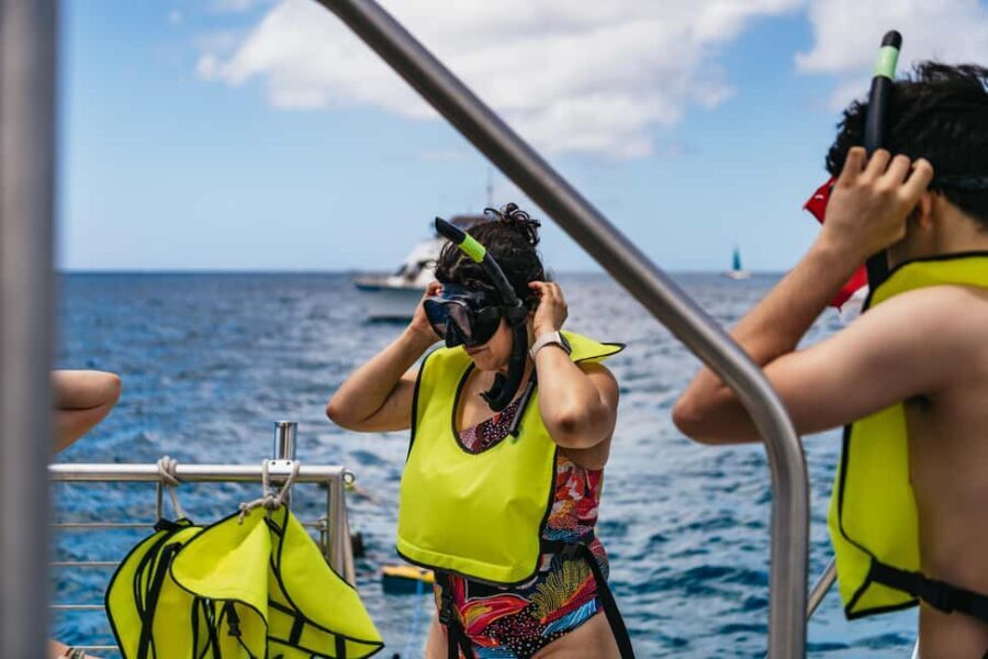 Oahu: Waikiki Turtle Snorkel Sail - What Makes This Tour Stand Out?