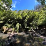 Oahu Waterfall Hike-Garden-Beach Road Trip, Waikiki to Lanikai - Nuuanu Pali Lookout: The Viewpoint of Oahus Windward Side