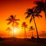 Oahu: West Oahu Sunset Cruise with Cocktails and Appetizers - The Experience Breakdown: A Close Look at What You’ll Encounter