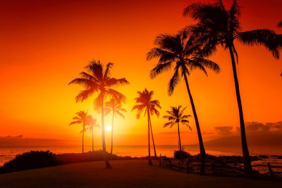Oahu: West Oahu Sunset Cruise with Cocktails and Appetizers - The Experience Breakdown: A Close Look at What You’ll Encounter
