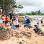 Oahu's Cheapest Circle Island Tour - Authentic Experiences & Review Insights