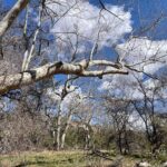 Oak Creek Canyon, with Native American history and Chapel too! - The Value of the Experience