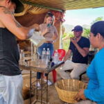 Oaxaca: Ancestral Mezcal Tasting in Ocotlan Valley - Why This Tour Provides Value
