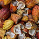 Oaxaca: Chocolate and Ancestral Drinks Tour - Who Will Love This Tour?