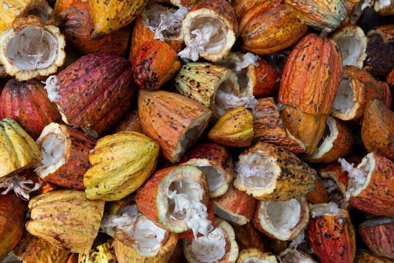 Oaxaca: Chocolate and Ancestral Drinks Tour - Who Will Love This Tour?