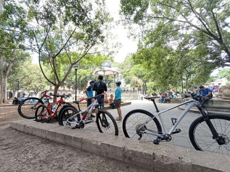 Oaxaca City: Bike Tour with Professional Guide+Art workshop - Key Points