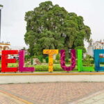 Oaxaca: El Tule tree, Teotitlan Village & Mezcal Tour - Practical Details and Value
