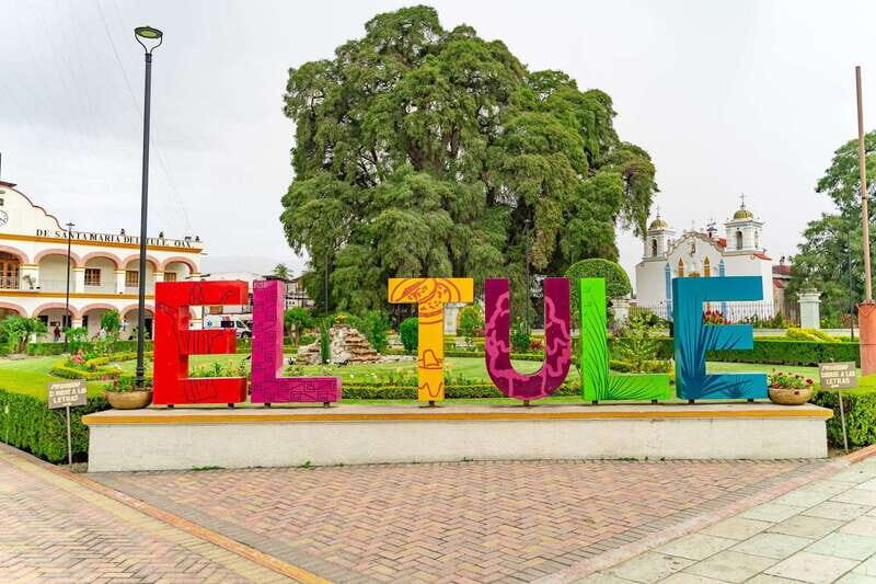 Oaxaca: El Tule tree, Teotitlan Village & Mezcal Tour - Practical Details and Value