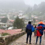 Oaxaca: Forest and Nature Walking Experience - Starting Point: Monumento Benito Juárez