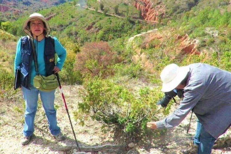 Oaxaca: Geoparque Exploration Tour - What Travelers Say