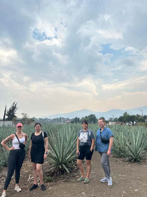 Oaxaca: Hierve el Agua & Mezcal Distillery Small-Group Tour - Deep Dive into the Itinerary