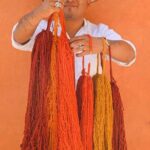 Oaxaca Hierve el Agua, Mitla, Teotitlán and Tule Tree - Overview: What to Expect from This Tour