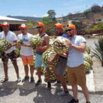 Oaxaca: Mezcal Adventure - How Good Is the Value?