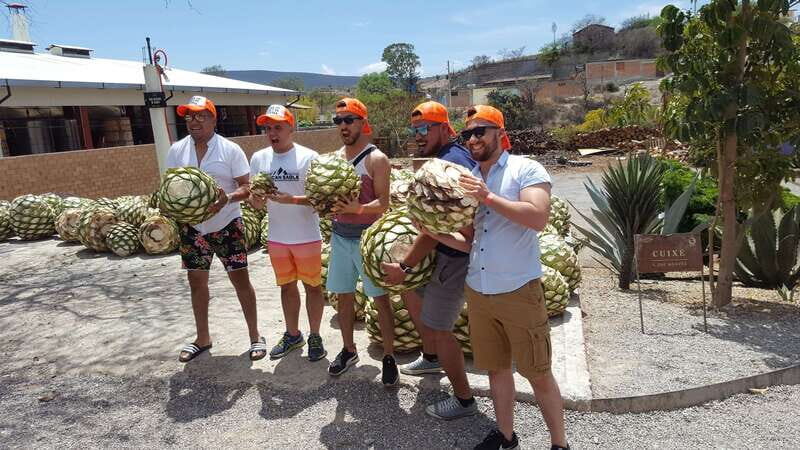 Oaxaca: Mezcal Adventure - How Good Is the Value?