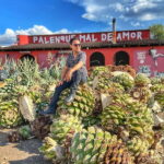 Oaxaca: Monte Albán, Hierve el agua, Mezcal and Teotitlán - Exploring the Itinerary in Detail