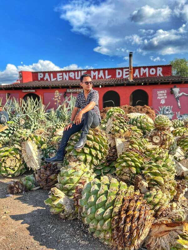 Oaxaca: Monte Albán, Hierve el agua, Mezcal and Teotitlán - Exploring the Itinerary in Detail