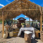 Oaxaca: Private Lunch in Maguey Fields with Mezcal Tasting - The Food: More Than Just Tasting