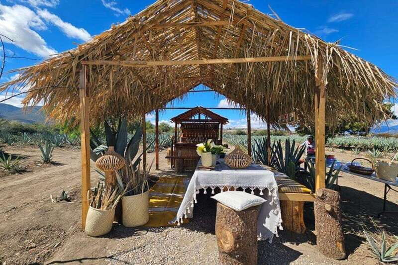 Oaxaca: Private Lunch in Maguey Fields with Mezcal Tasting - The Food: More Than Just Tasting