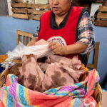 Oaxaca: San Martín Tilcajete, Jalieza & Ocotlán Crafts Route - The Day in Detail: What to Expect