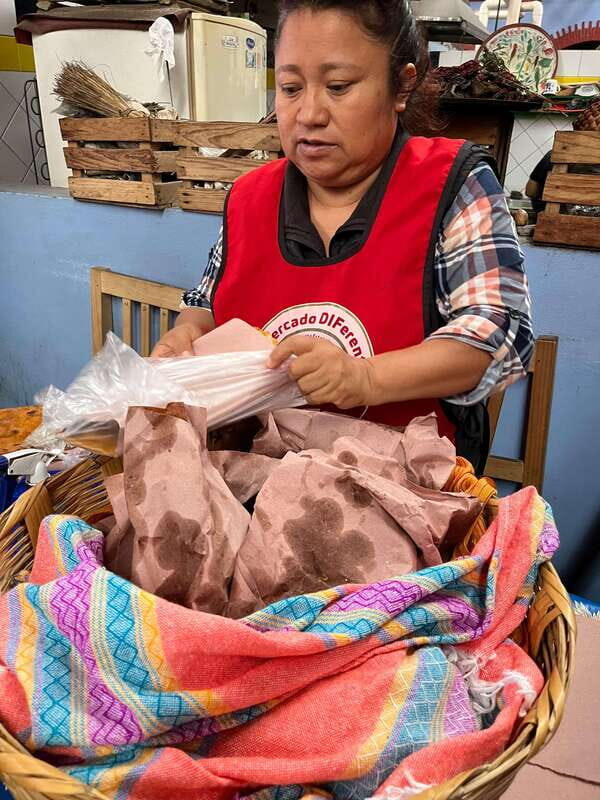 Oaxaca: San Martín Tilcajete, Jalieza & Ocotlán Crafts Route - The Day in Detail: What to Expect