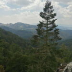 Oaxaca: Sierra Norte Tour with Zipline and Hanging Bridge - A Detailed Look at the Sierra Norte Tour