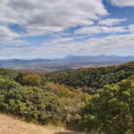 Oaxaca: Valley Mountains and Jalapilla Half Day Tour - From Reviews and Experience