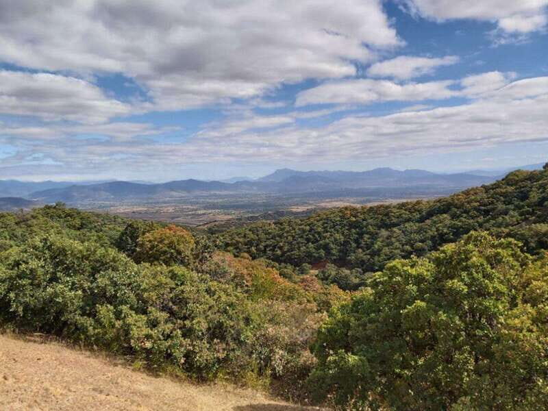 Oaxaca: Valley Mountains and Jalapilla Half Day Tour - From Reviews and Experience