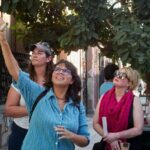 Oaxacan Urban Mythology and Colonial Art - The Practicalities: What to Expect