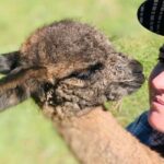 Oberon: Kenzell Farm Tour  A Hands-On Animal Adventure! - Balancing Value and Experience
