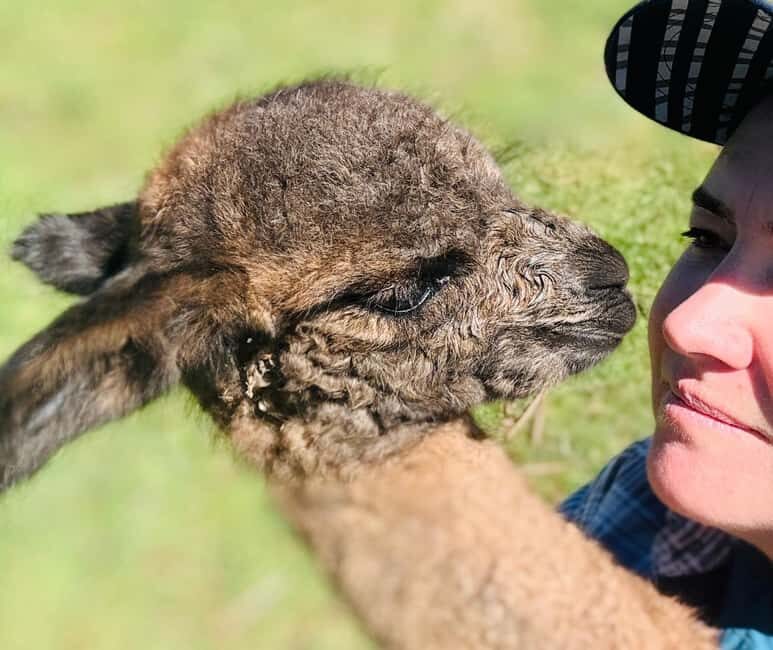 Oberon: Kenzell Farm Tour  A Hands-On Animal Adventure! - Balancing Value and Experience