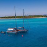 Ocean Free 25 guest Great Barrier Reef & visit Green Island Tour - Who Should Consider This Tour?