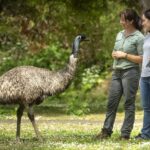 Oceans to Mountains Explorer: 3-Day Great Ocean Road Tour - The Value of This Tour