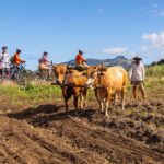 Off-road E-bike Tour with Local Guides - An In-Depth Look at the Off-road E-bike Tour