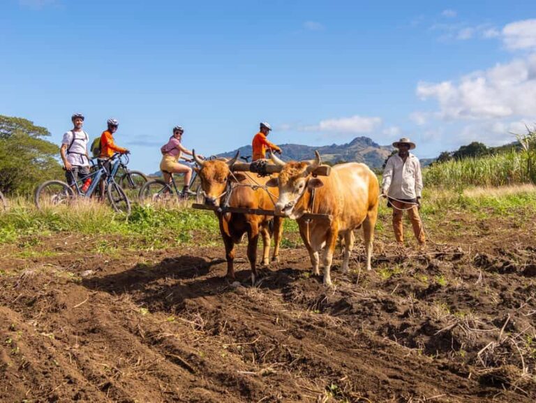 Off-road E-bike Tour with Local Guides - An In-Depth Look at the Off-road E-bike Tour