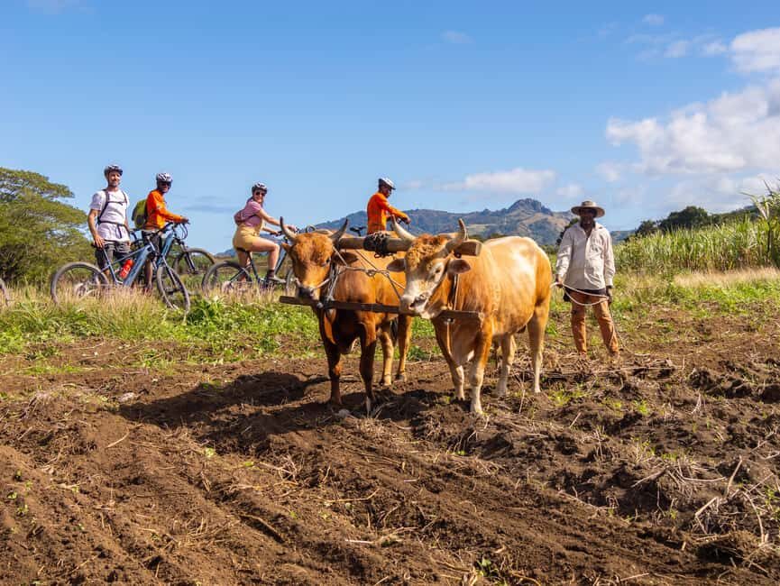 Off-road E-bike Tour with Local Guides - An In-Depth Look at the Off-road E-bike Tour