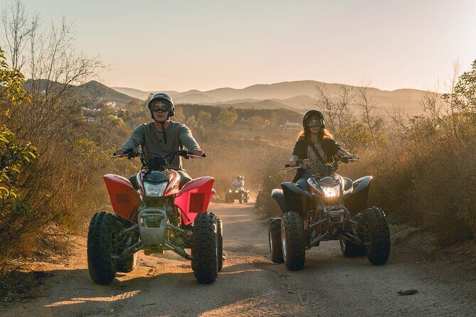 Off Road Tour Experience plus Winery visit in Baja - Riding Through the Valle: What to Expect