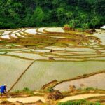 Offbeat Trekking Tour: Pu Luong Nature Reserve 2 days from Hanoi - Day 2: Exploring Pu Luong’s Hidden Corners