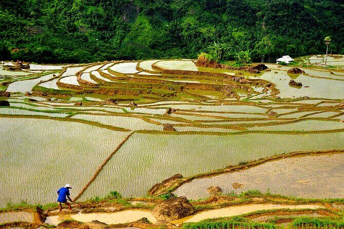 Offbeat Trekking Tour: Pu Luong Nature Reserve 2 days from Hanoi - Day 2: Exploring Pu Luong’s Hidden Corners