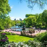 Official Central Park Walking Tour - Value for Money