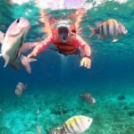Official Chankanaab Beach Park Day pass with Lunch included - An In-Depth Look at the Experience
